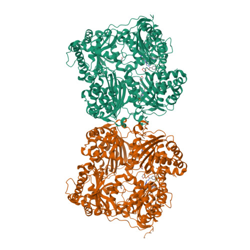 RCSB PDB - 7K1F: Crystal structure of human insulin degrading enzyme ...