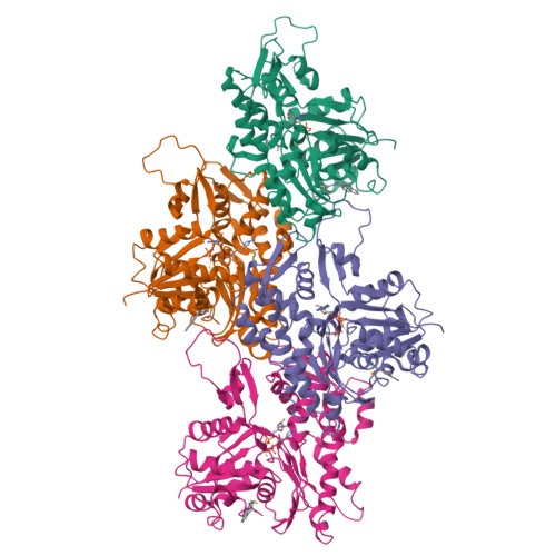 RCSB PDB - 7K21: Cryo-EM structure of pyrene-labeled ADP-Pi-actin filaments