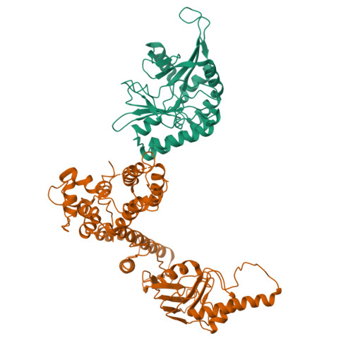RCSB PDB - 7K2V: PIKfyve/Fig4/Vac14 complex centered on PIKfyve - map2