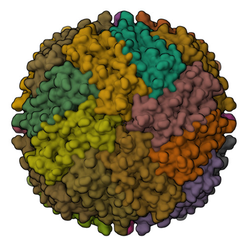 RCSB PDB - 7K3V: Apoferritin structure at 1.34 angstrom resolution ...