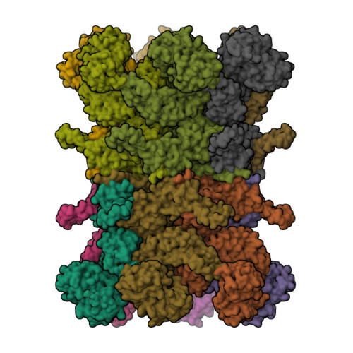 RCSB PDB - 7K56: Structure of VCP dodecamer purified from H1299 cells