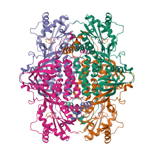 RCSB PDB - 7K5Z: Crystal Structure of Argininosuccinate synthase from ...