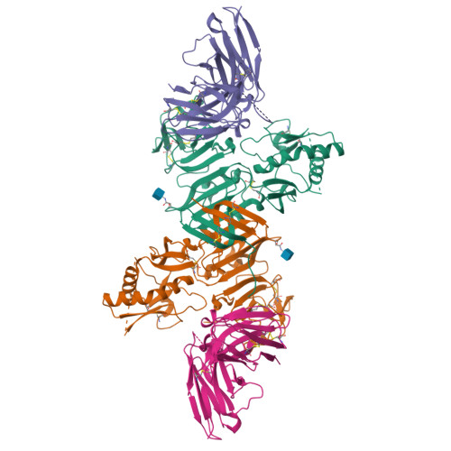 RCSB PDB - 7K93: DENV2 NS1 in complex with neutralizing 2B7 single ...