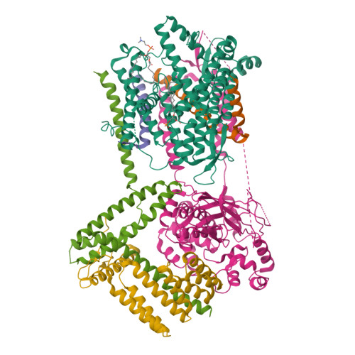 RCSB PDB - 7KAN: Cryo-EM structure of the Sec complex from T ...