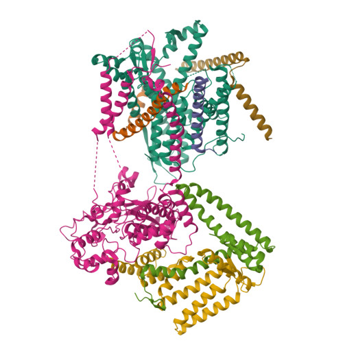 RCSB PDB - 7KAS: Cryo-EM structure of the Sec complex from S ...