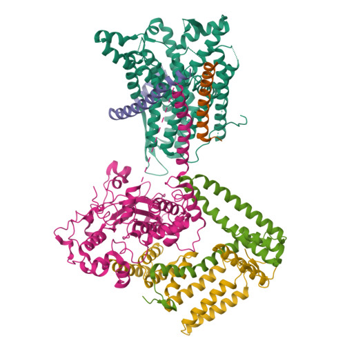 RCSB PDB - 7KB5: Cryo-EM structure of the Sec complex from yeast, Sec63 ...