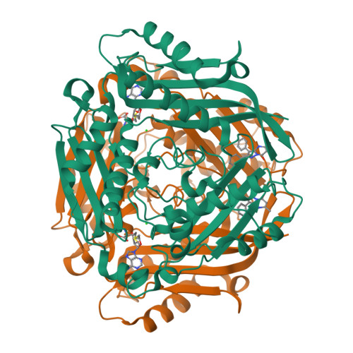 RCSB PDB - 7KCE: Crystal structure of human methionine ...