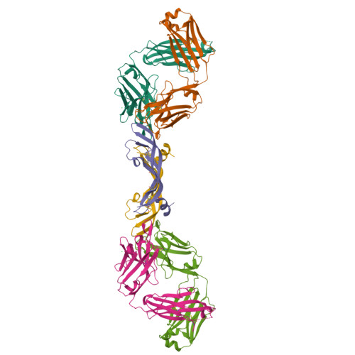 RCSB PDB - 7KEZ: Crystal structure of bH1 Fab variant (CDR H3 loop ...