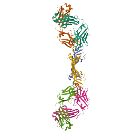 RCSB PDB - 7KF1: Crystal structure of bH1 Fab variant (CDR H3 loop ...