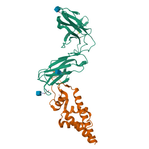 RCSB PDB - 7KFK: Crystal structure of LILRB1 D3D4 domain in complex ...