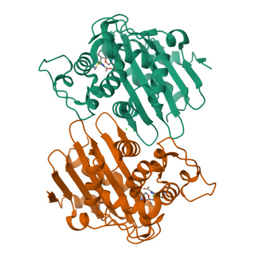 RCSB PDB - 7KH9: Crystal structure of OXA-48 K73A in complex with imipenem