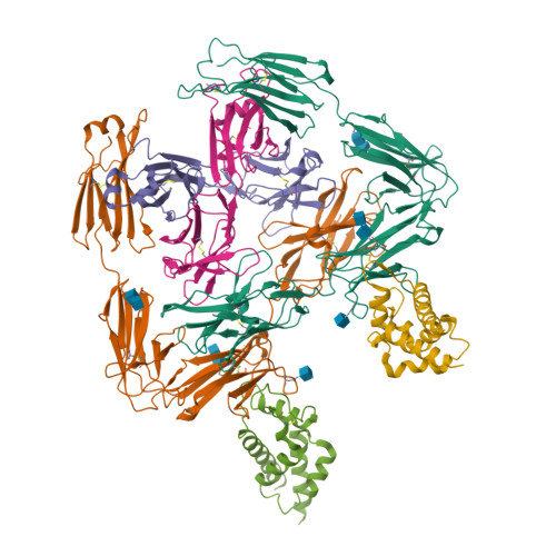 RCSB PDB - 7KHF: CryoEM structure of LILRB1 D3D4 domain-inserted ...