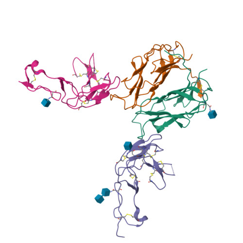 RCSB PDB - 7KHX: Mouse GITR-GITRL complex