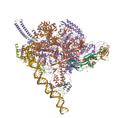 RCSB PDB - 7KIF: Mycobacterium tuberculosis WT RNAP transcription open ...