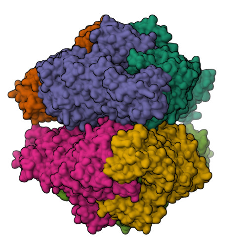 RCSB PDB - 7KNS: Cryo-EM structure of jack bean urease
