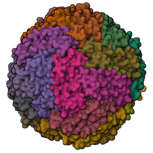 RCSB PDB - 7KOD: Cryo-EM structure of heavy chain mouse apoferritin