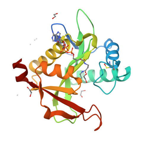 RCSB PDB - 7KPP: Structure of the E102A mutant of a GNAT superfamily ...