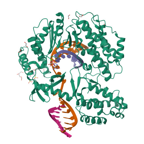 RCSB PDB - 7KQN: Ternary complex of TERT (telomerase reverse ...