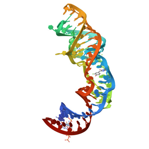 RCSB PDB - 7KVT: Crystal structure of Squash RNA aptamer in complex ...