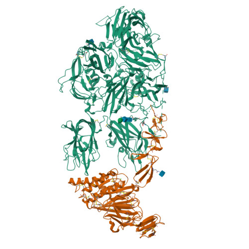 RCSB PDB - 7KWO: rFVIIIFc-VWF-XTEN (BIVV001)