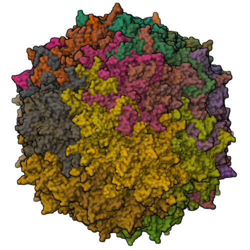 RCSB PDB - 7L0U: Human Bocavirus 2 (pH 5.5)