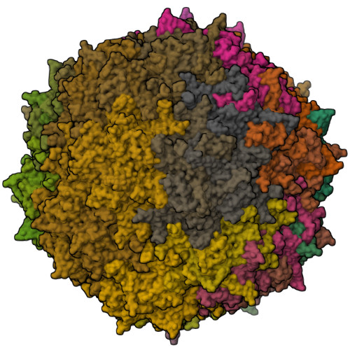 RCSB PDB - 7L0V: Human Bocavirus 2 (pH 7.4)