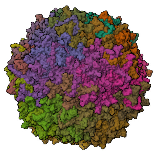 RCSB PDB - 7L0W: Human Bocavirus 1 (pH 5.5)
