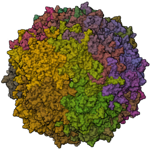 RCSB PDB - 7L0X: Human Bocavirus 2 (pH 2.6)