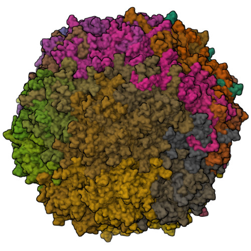RCSB PDB - 7L0Y: Human Bocavirus 1 (pH 2.6)