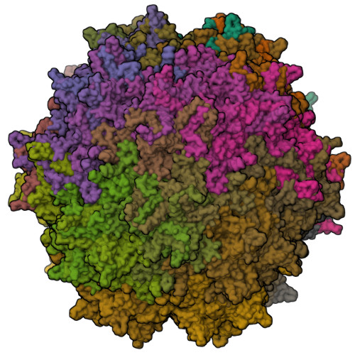 RCSB PDB - 7L5Q: The empty AAV7 capsid