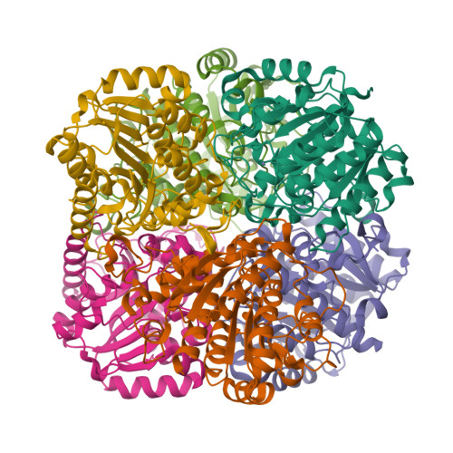 RCSB PDB - 7LBA: E. coli Agmatinase