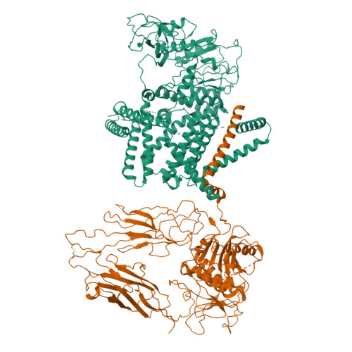 RCSB PDB - 7LBY: Bacterial cellulose synthase BcsB with polyalanine ...