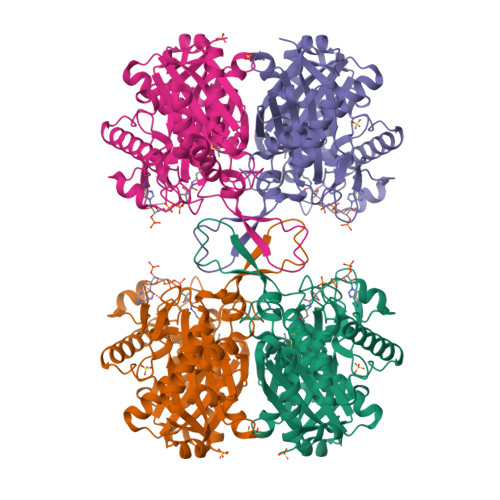 RCSB PDB - 7LDC: Zoogloea ramigera biosynthetic thiolase Q183Y/Y218E mutant