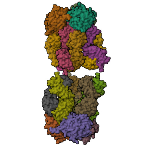 RCSB PDB - 7LEX: Trimeric human Arginase 1 in complex with mAb1 - 2 ...