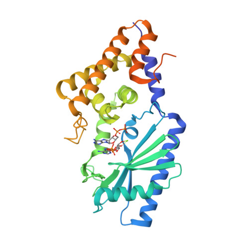 RCSB PDB - 7LJO: Structure of the Bacteroides fragilis CD-NTase CdnB in ...