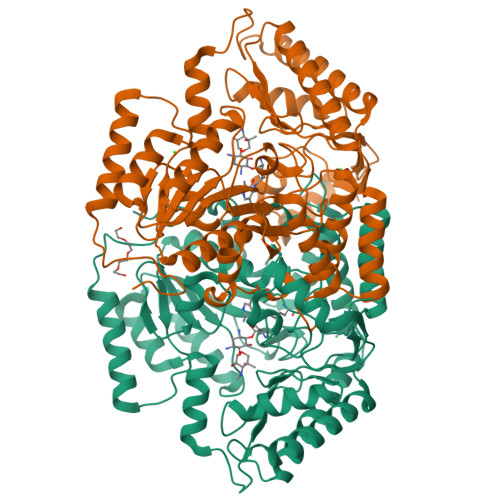 RCSB PDB - 7LLD: Crystal structure of GenB4 in complex with external ...