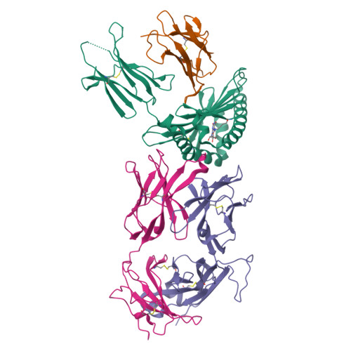 RCSB PDB - 7LLI: Stimulatory immune receptor protein complex
