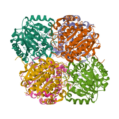 RCSB PDB - 7LOL: The structure of Agmatinase from E. Coli at 1.8 A ...