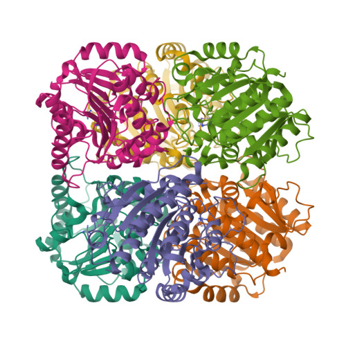 RCSB PDB - 7LOX: The structure of Agmatinase from E. Coli at 3.2 A ...