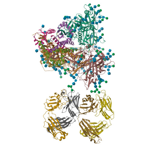 RCSB PDB - 7LUA: Cryo-EM structure of DH898.1 Fab-dimer bound near the ...