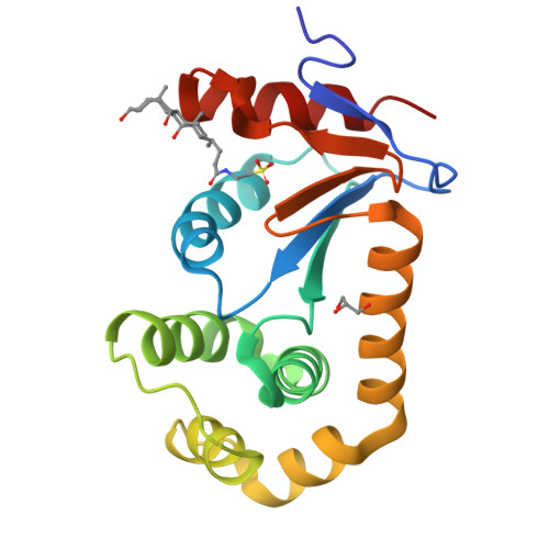 RCSB PDB - 7LUI: Crystal structure of Vibrio cholerae DsbA in complex ...