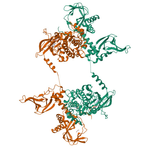 RCSB PDB - 7LV3: Crystal structure of human protein kinase G (PKG) R-C ...