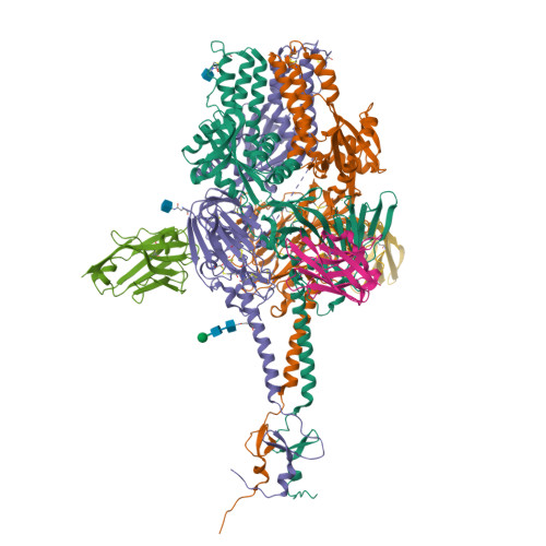 RCSB PDB - 7LVW: Structure of RSV F in Complex with VHH Cl184