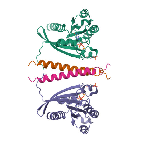 RCSB PDB - 7LWB: Crystal Structure of phospho-Rab8a with the RH2 domain ...