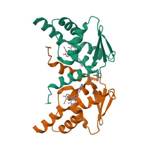 RCSB PDB - 7LWF: Crystal structure of the BCL6 BTB domain in complex ...
