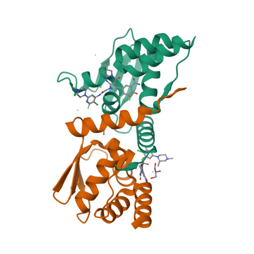RCSB PDB - 7LWG: Crystal structure of the BCL6 BTB domain in complex ...