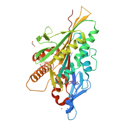 RCSB PDB - 7LXR: Kinesin-like protein at 61F (Klp61f) bound to AMPPNP