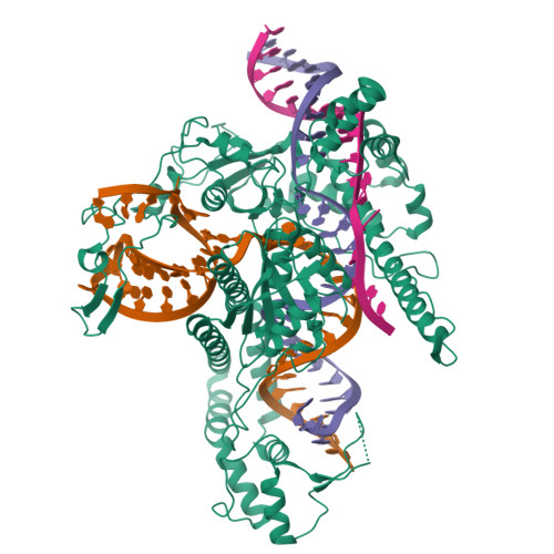 RCSB PDB - 7LYS: Cryo-EM structure of CasPhi-2 (Cas12j) bound to crRNA ...