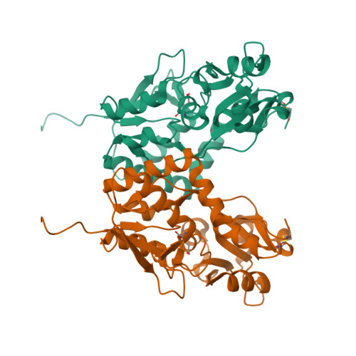 RCSB PDB - 7LZ0: Structure of glutamate receptor-like channel GLR3.4 ...