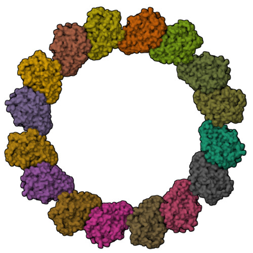 RCSB PDB - 7M18: HeLa-tubulin in complex with cryptophycin 1
